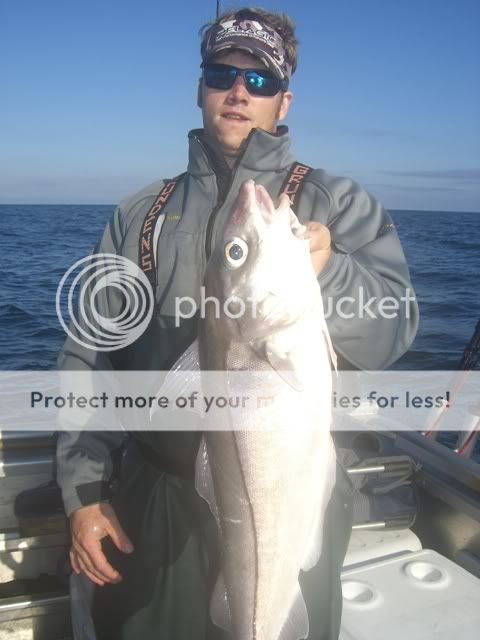 Stellwagen Spring Cod & Haddock Fishing | 360 Tuna Fishers Forum