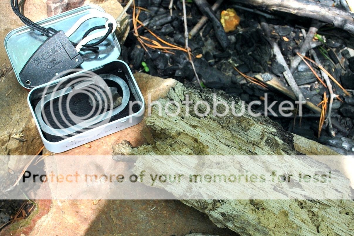 On Fungi & Punk Wood as Tinder | BladeForums.com