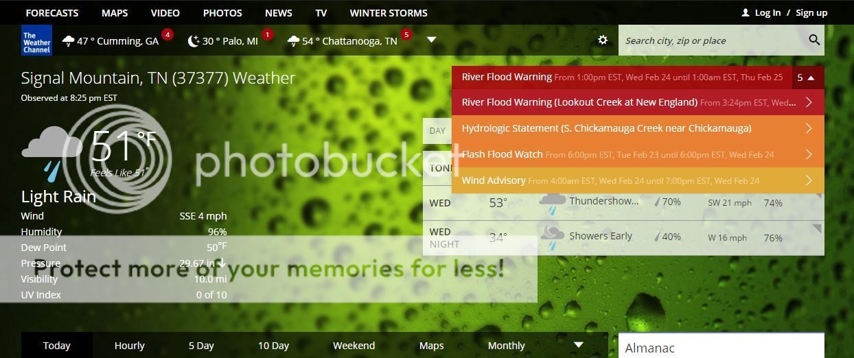On Fungi & Punk Wood as Tinder | BladeForums.com
