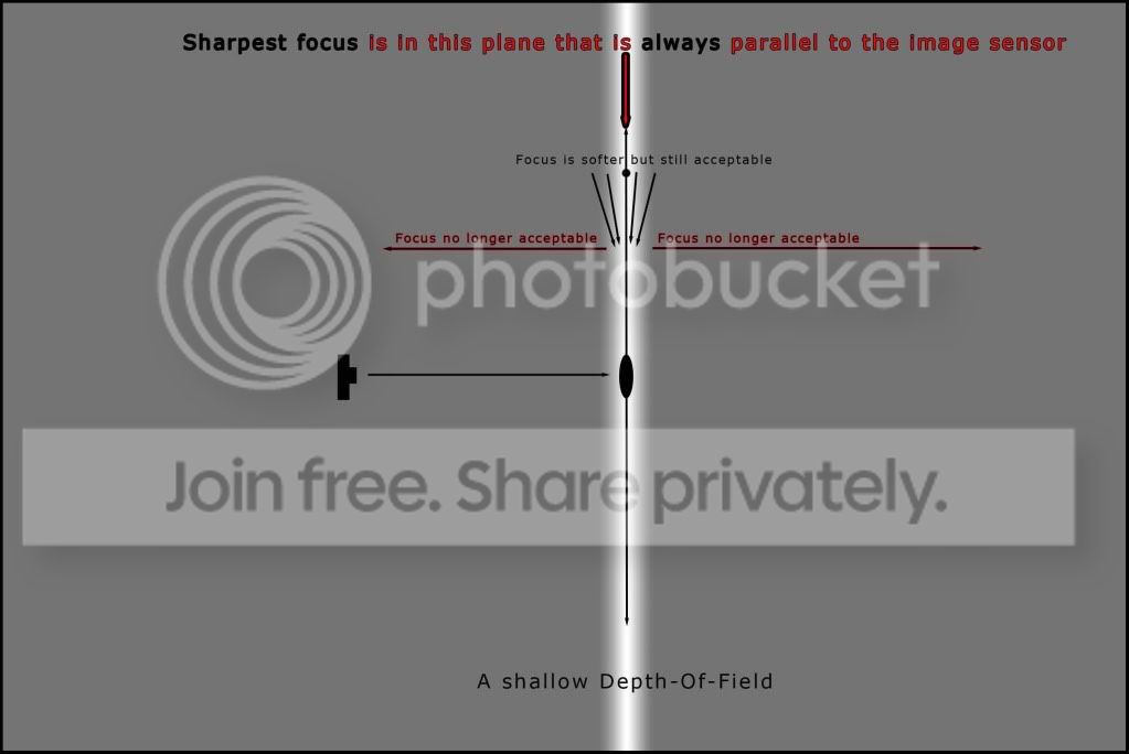 RAZOR Sharp EYES | The Photography Forum