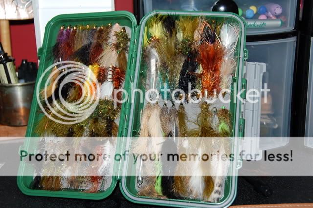 » Topic: Rabbit fur flies – picture heavy