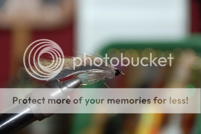 » Topic: Rabbit fur flies – picture heavy