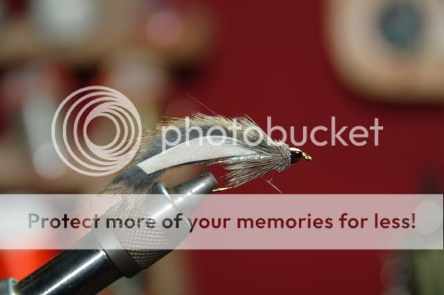 » Topic: Rabbit fur flies – picture heavy