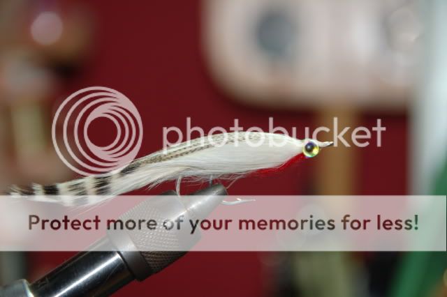 » Topic: Rabbit fur flies – picture heavy