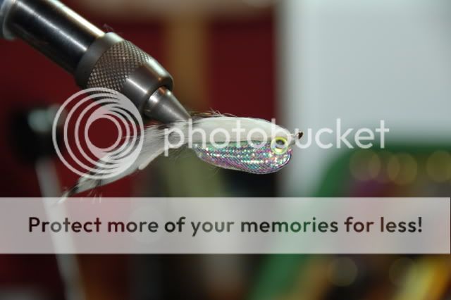 » Topic: Rabbit fur flies – picture heavy