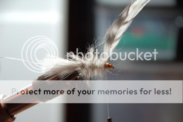 » Topic: Rabbit fur flies – picture heavy