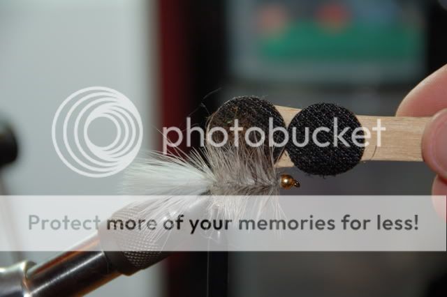 » Topic: Rabbit fur flies – picture heavy