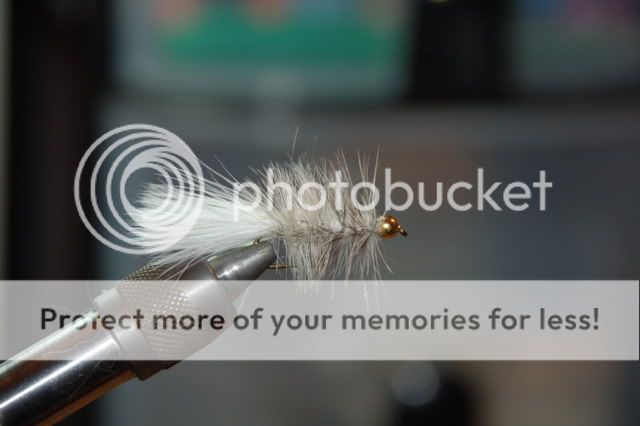 » Topic: Rabbit fur flies – picture heavy