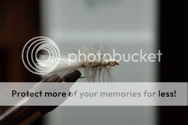 » Topic: Rabbit fur flies – picture heavy