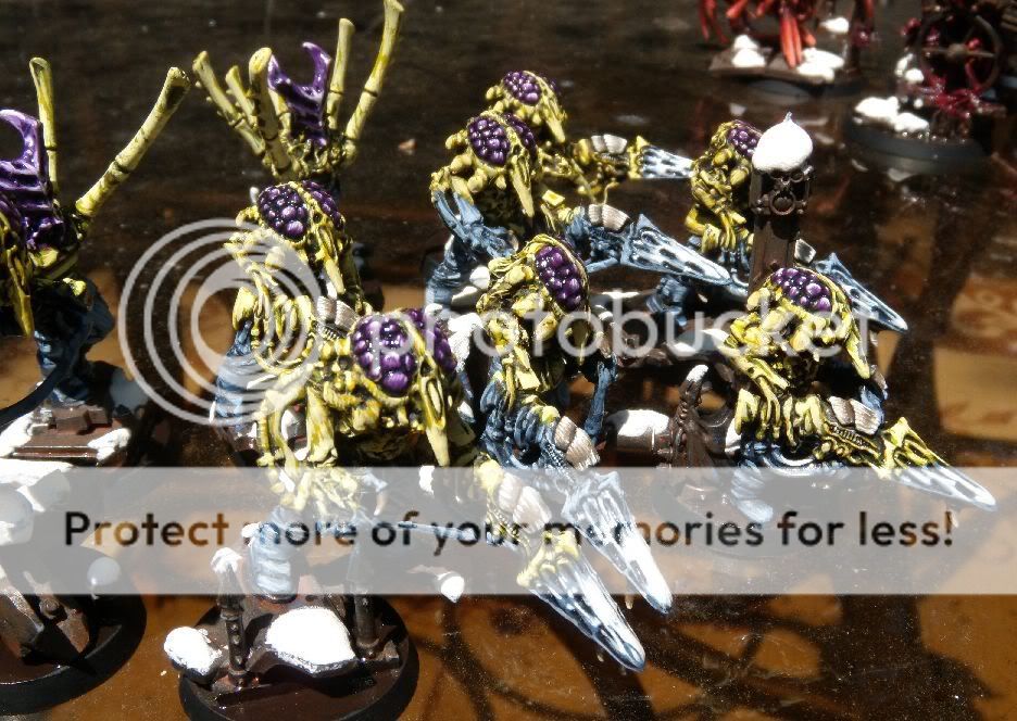 [H] Pro-Painted Daemons of Chaos Army [W] 500USD - Forum - DakkaDakka