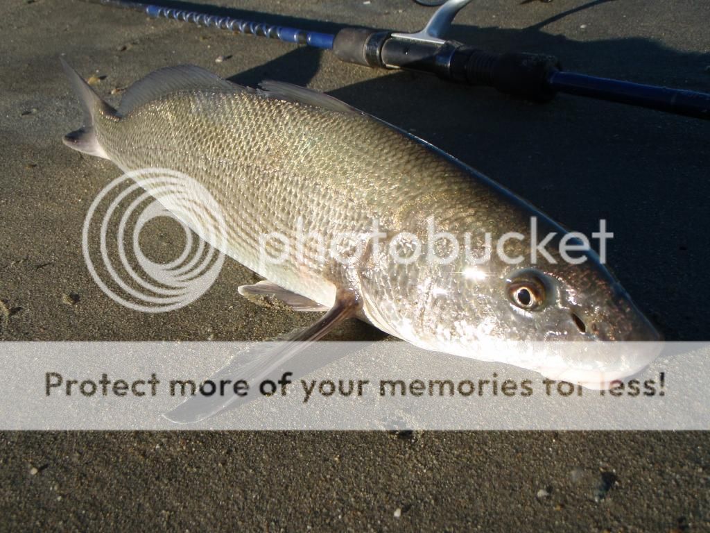 More corb action report for 1-6-14 | Bloodydecks