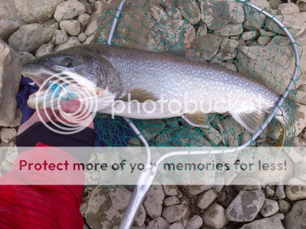 Some More Fish Pron - Fishing Forum - Niagara Fishing Forum