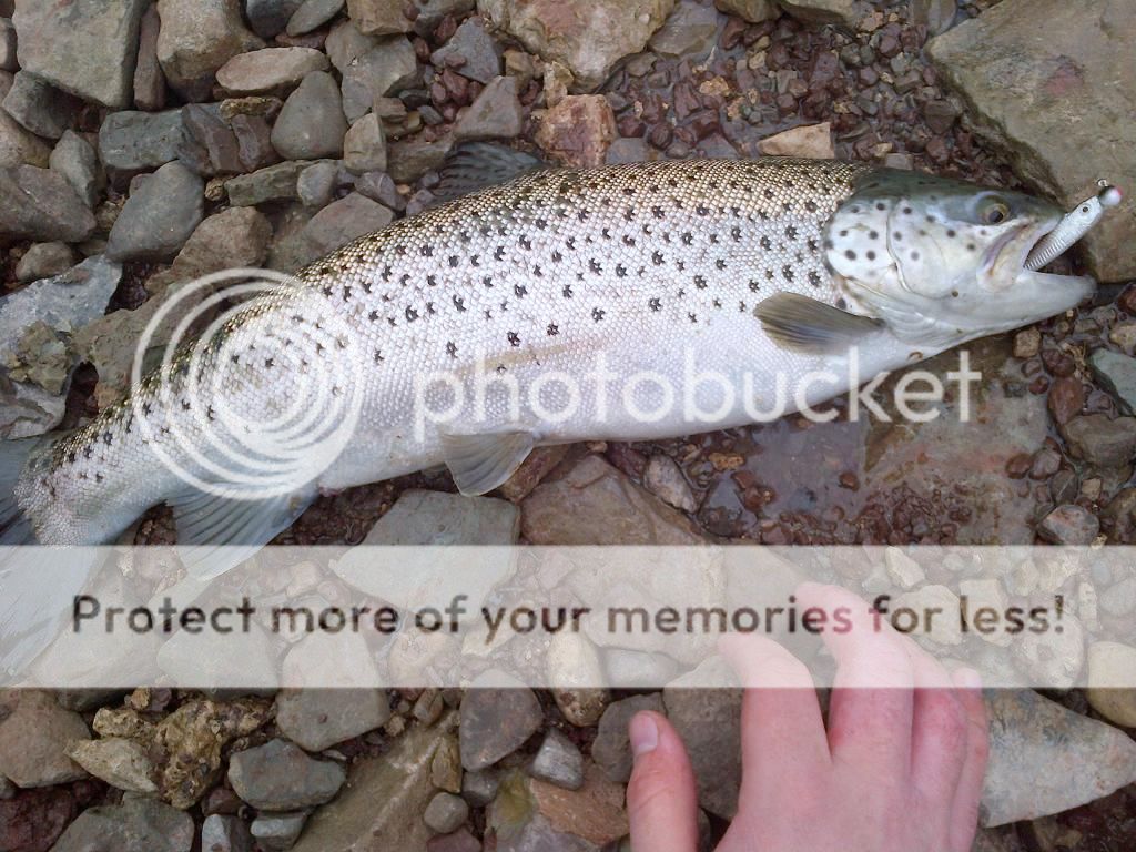 Some More Fish Pron - Fishing Forum - Niagara Fishing Forum