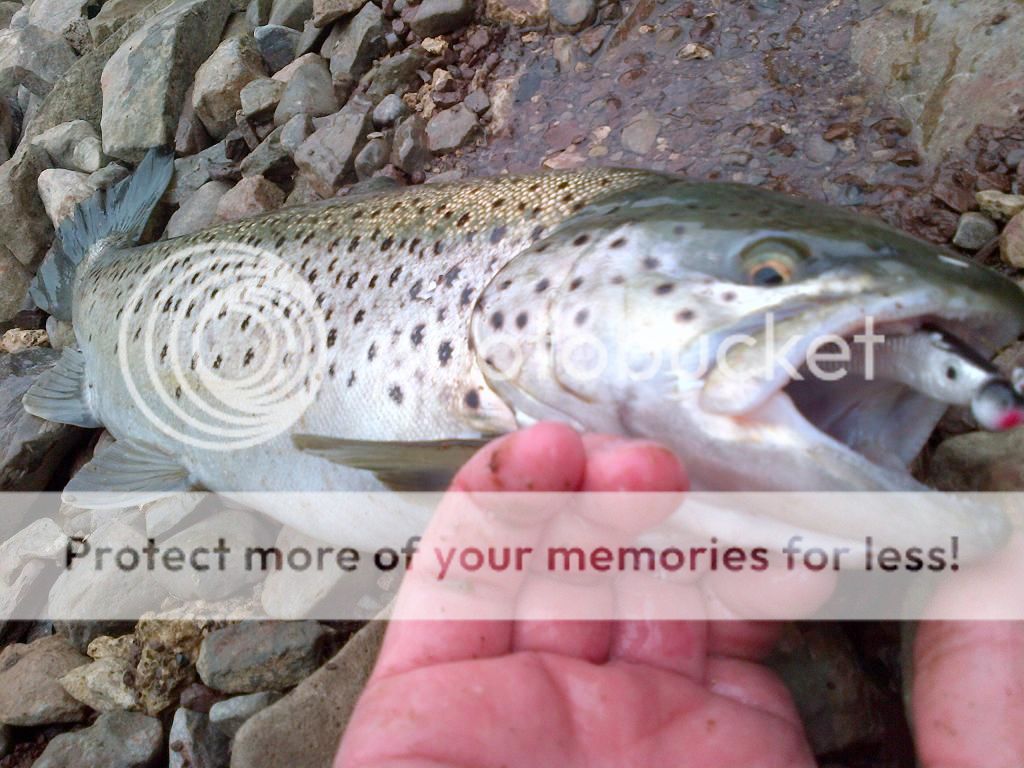 Some More Fish Pron - Fishing Forum - Niagara Fishing Forum